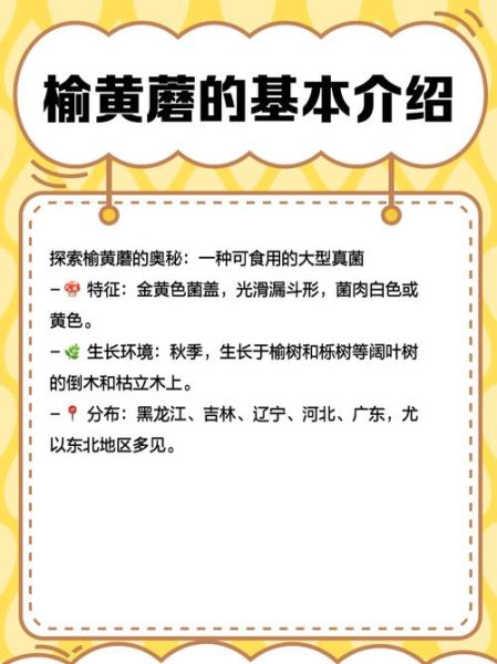 榆黄蘑种植技术_榆黄蘑怎么种产量高-第1张图片-山城妙识 榆黄蘑种植技术_榆黄蘑怎么种产量高-第1张图片-山城妙识