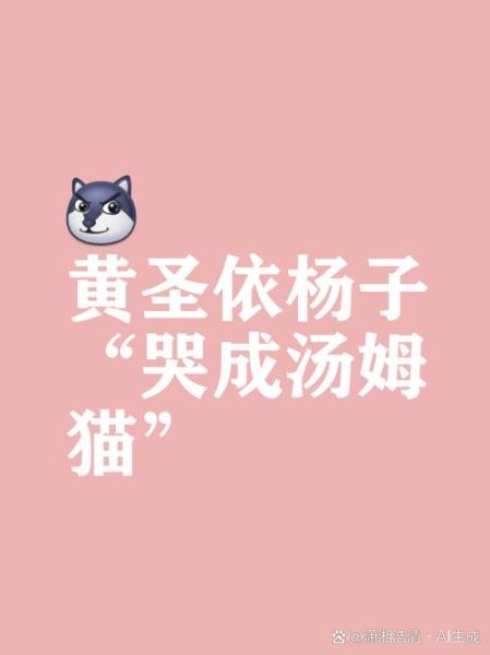 杨猫是谁_杨猫微博日常更新内容-第2张图片-山城妙识 杨猫是谁_杨猫微博日常更新内容-第2张图片-山城妙识