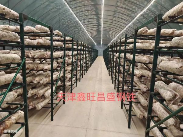 香菇种植大棚造价多少钱_香菇大棚怎么搭建-第1张图片-山城妙识 香菇种植大棚造价多少钱_香菇大棚怎么搭建-第1张图片-山城妙识