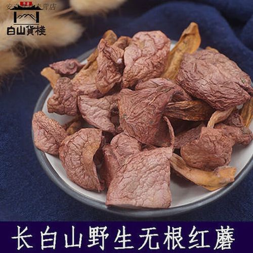 肉蘑图片_如何辨别真假肉蘑-第2张图片-山城妙识
