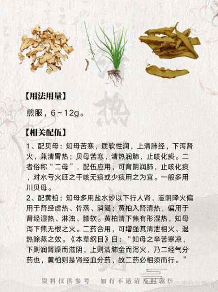 知母的功效与作用_知母适合哪些人吃-第2张图片-山城妙识