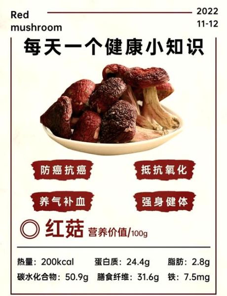 肉蘑图片_如何辨别真假肉蘑-第3张图片-山城妙识