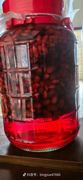 桑葚子泡酒有什么功效_桑葚子泡酒的功效与作用-第3张图片-山城妙识