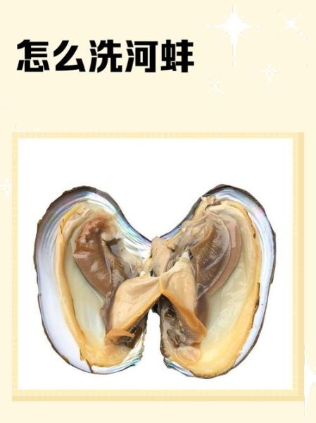 小河蚌怎么清洗_小河蚌怎么做好吃-第2张图片-山城妙识