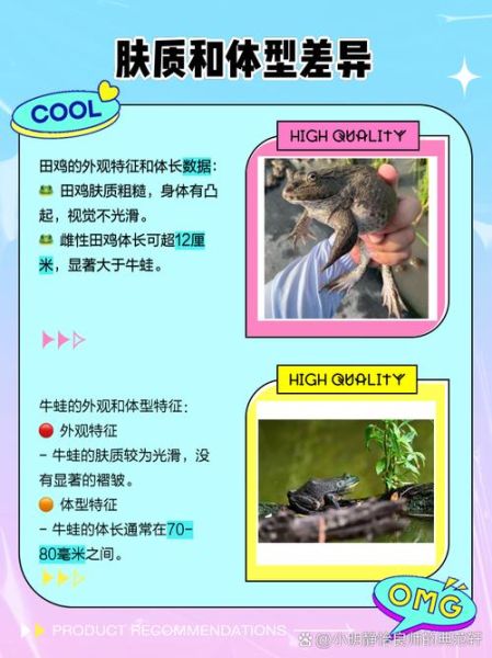 田鸡和牛蛙的区别_田鸡好吃还是牛蛙好吃-第1张图片-山城妙识