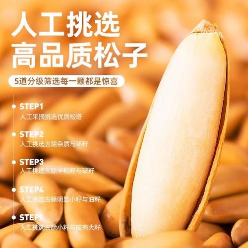 巴西松子小说结局是什么_巴西松子小说人物关系-第3张图片-山城妙识