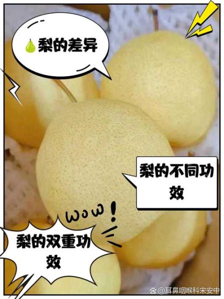 皇冠梨是雪梨吗_皇冠梨和雪梨的区别-第1张图片-山城妙识