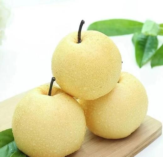 皇冠梨是雪梨吗_皇冠梨和雪梨的区别-第3张图片-山城妙识