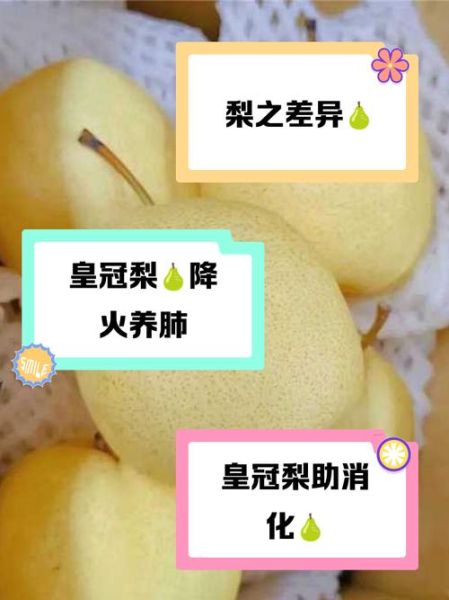皇冠梨是雪梨吗_皇冠梨和雪梨的区别-第2张图片-山城妙识