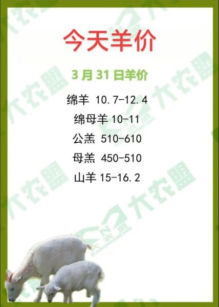 羊肉价格今日价2020年_为什么突然暴涨-第1张图片-山城妙识