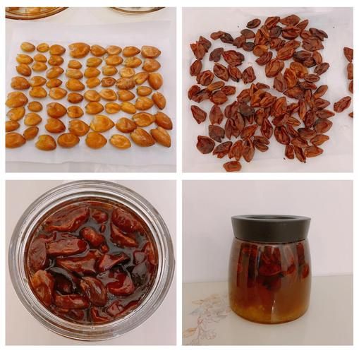 山黄皮果怎么腌制_山黄皮果腌制方法-第2张图片-山城妙识