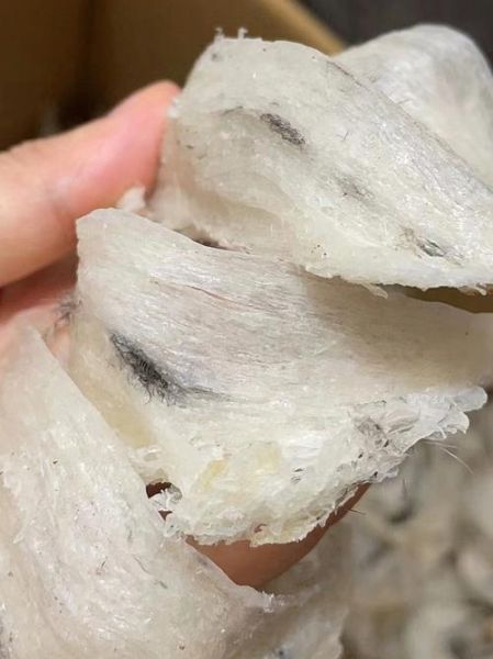 毛燕窝价格多少钱一斤_毛燕窝一斤多少钱-第3张图片-山城妙识