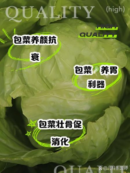 洋白菜的营养价值_洋白菜的功效与作用-第1张图片-山城妙识