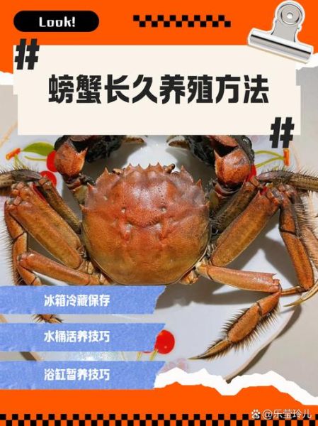淡水螃蟹养殖技术_如何提高成活率-第1张图片-山城妙识