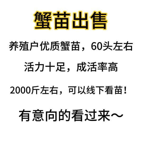 淡水螃蟹养殖技术_如何提高成活率-第3张图片-山城妙识