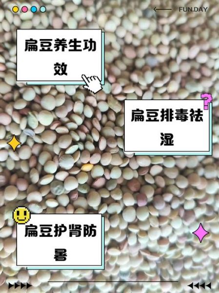 新鲜扁豆的功效与作用_新鲜扁豆怎么吃最营养-第2张图片-山城妙识 新鲜扁豆的功效与作用_新鲜扁豆怎么吃最营养-第2张图片-山城妙识