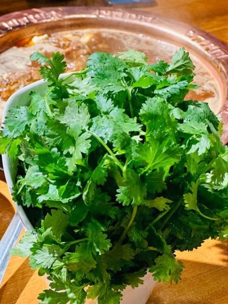 香菜图片大全大图_香菜高清大图怎么拍-第1张图片-山城妙识