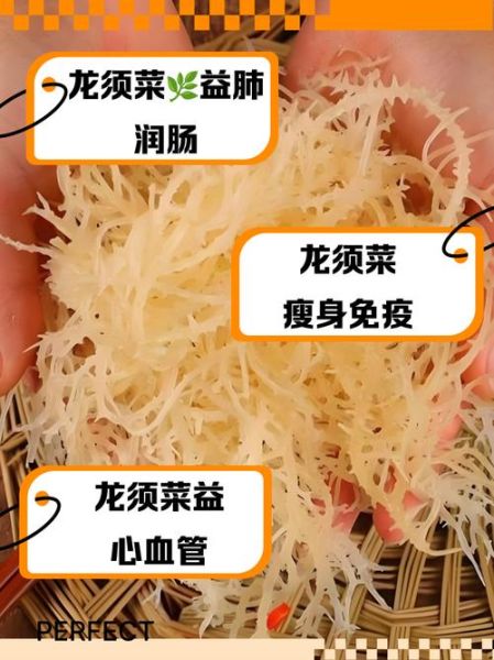 海龙须菜有什么功效_海龙须菜怎么吃最好-第2张图片-山城妙识 海龙须菜有什么功效_海龙须菜怎么吃最好-第2张图片-山城妙识