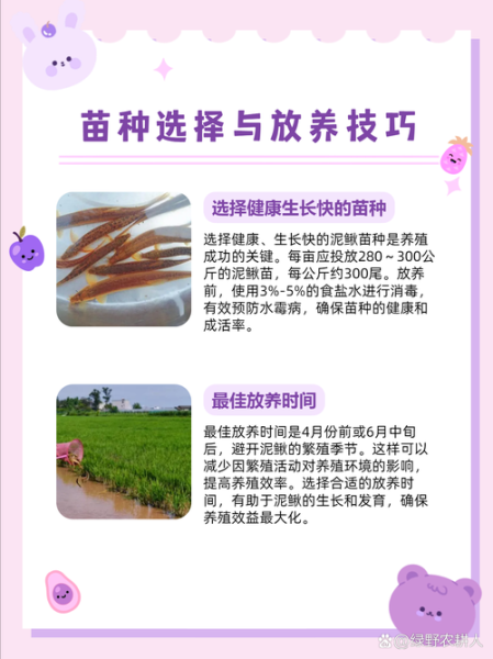 泥鳅养殖需要什么条件_泥鳅养殖方法步骤-第3张图片-山城妙识