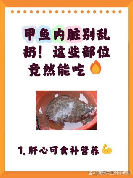 甲鱼内脏哪些不能吃_怎么处理最安全-第1张图片-山城妙识