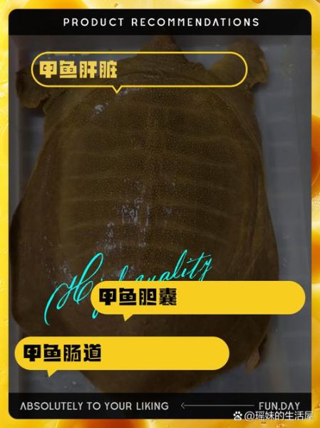 甲鱼内脏哪些不能吃_怎么处理最安全-第2张图片-山城妙识