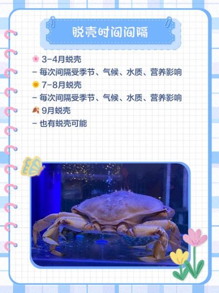 螃蟹在剥我的壳讲了什么_结局解析-第3张图片-山城妙识 螃蟹在剥我的壳讲了什么_结局解析-第3张图片-山城妙识