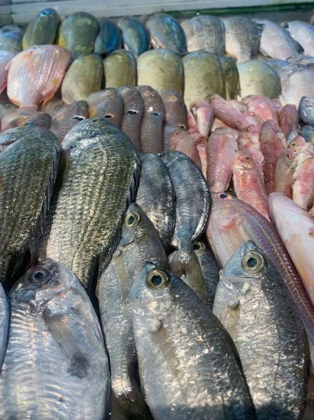 干海鱼怎么泡发_干海鱼怎么做才好吃-第3张图片-山城妙识 干海鱼怎么泡发_干海鱼怎么做才好吃-第3张图片-山城妙识