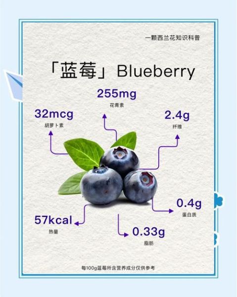 蓝莓的功效与作用及禁忌_蓝莓一天吃多少合适-第1张图片-山城妙识