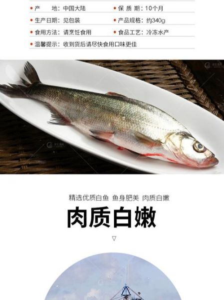 白鱼是什么鱼_白鱼多少钱一斤-第3张图片-山城妙识