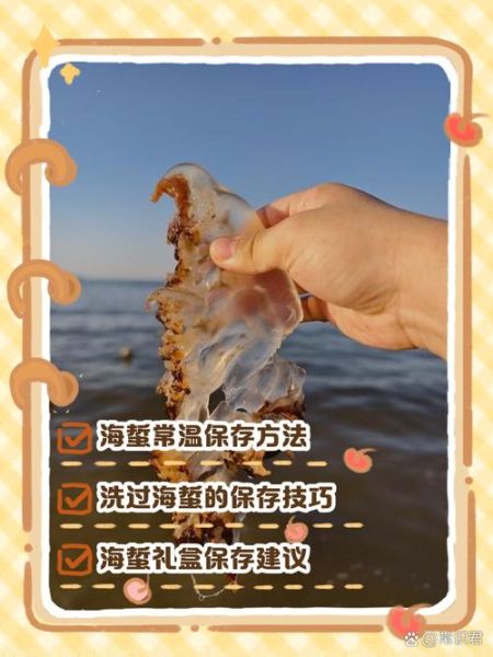 海蜇怎么处理_海蜇怎么清洗才干净-第2张图片-山城妙识