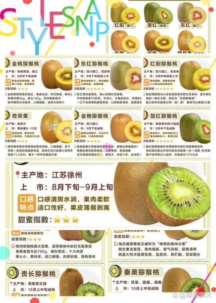 猕猴桃和奇异果哪个营养高_维生素C含量对比-第1张图片-山城妙识 猕猴桃和奇异果哪个营养高_维生素C含量对比-第1张图片-山城妙识