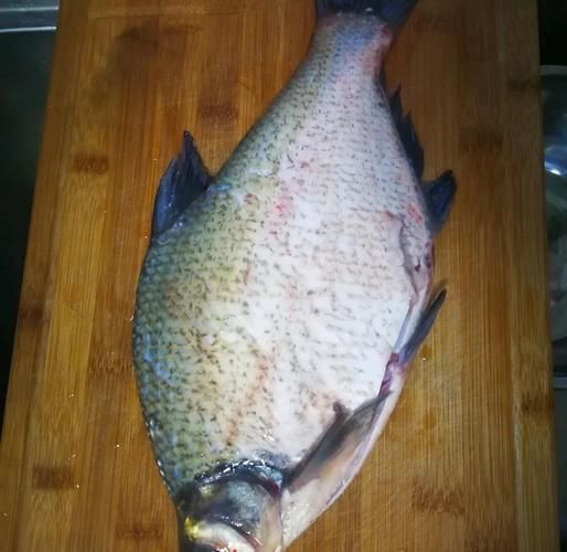 清蒸武昌鱼怎么做_清蒸武昌鱼的家常做法-第2张图片-山城妙识