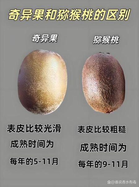 猕猴桃和奇异果哪个营养高_维生素C含量对比-第2张图片-山城妙识 猕猴桃和奇异果哪个营养高_维生素C含量对比-第2张图片-山城妙识