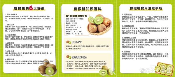 猕猴桃和奇异果哪个营养高_维生素C含量对比-第3张图片-山城妙识 猕猴桃和奇异果哪个营养高_维生素C含量对比-第3张图片-山城妙识