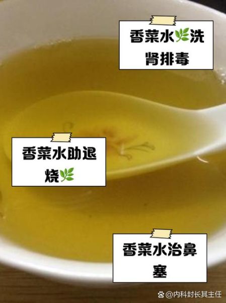 水煮香菜的功效与作用_水煮香菜能减肥吗-第1张图片-山城妙识