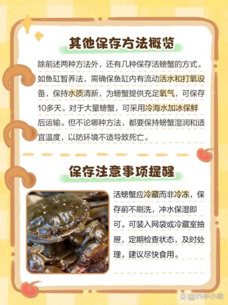 活螃蟹怎么保存_活螃蟹能放冰箱冷藏吗-第1张图片-山城妙识 活螃蟹怎么保存_活螃蟹能放冰箱冷藏吗-第1张图片-山城妙识