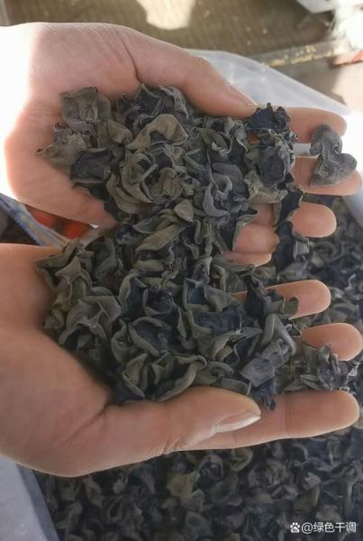 木耳可以生吃吗_生吃木耳的风险-第2张图片-山城妙识 木耳可以生吃吗_生吃木耳的风险-第2张图片-山城妙识