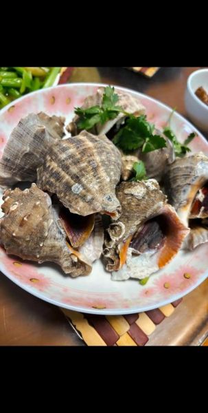 海螺开锅蒸几分钟熟_海螺蒸多久最佳口感-第1张图片-山城妙识 海螺开锅蒸几分钟熟_海螺蒸多久最佳口感-第1张图片-山城妙识