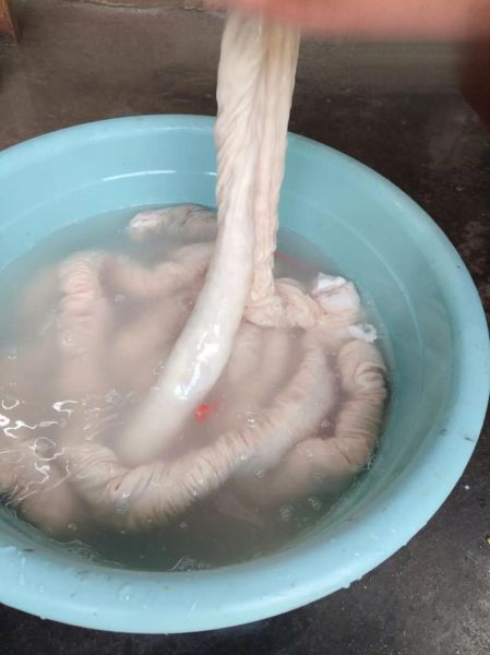 肥肠怎么清洗才干净_正宗肥肠做法步骤-第3张图片-山城妙识 肥肠怎么清洗才干净_正宗肥肠做法步骤-第3张图片-山城妙识