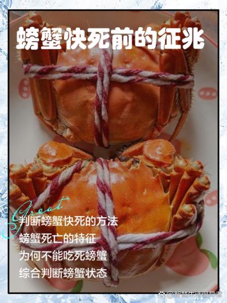 大闸蟹刚死可以吃吗_死了多久不能吃-第1张图片-山城妙识