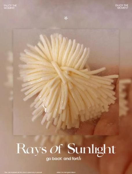 文思豆腐是哪个菜系_文思豆腐起源于哪里-第2张图片-山城妙识