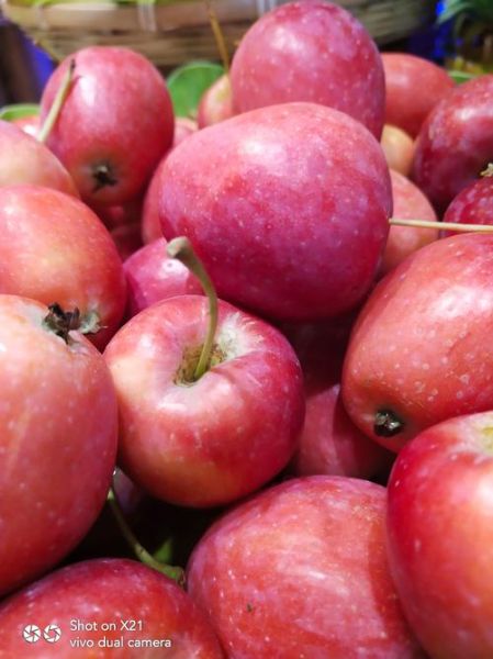 新鲜水果图片大全大图_哪些水果高清图最受欢迎-第1张图片-山城妙识