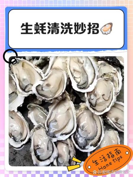 牡蛎肉怎么清洗内脏_牡蛎内脏清理图解-第3张图片-山城妙识