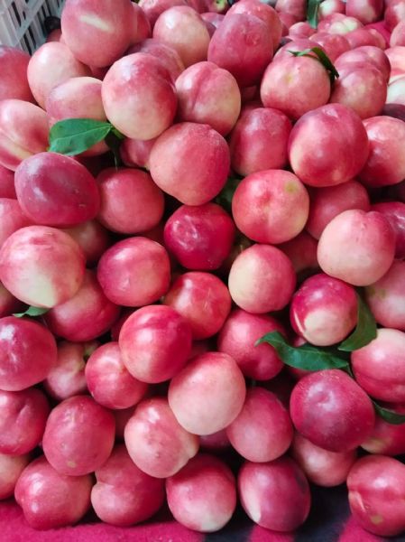 新鲜水果图片大全大图_哪些水果高清图最受欢迎-第2张图片-山城妙识