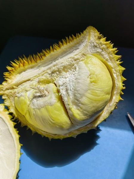 榴莲深夜释放自己_为什么越晚越想吃-第3张图片-山城妙识 榴莲深夜释放自己_为什么越晚越想吃-第3张图片-山城妙识