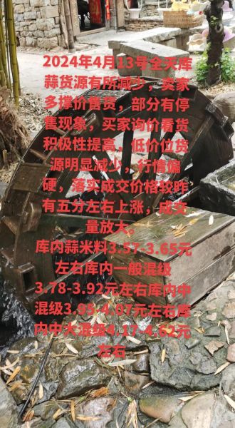 今日大蒜价格多少钱一斤_2024年大蒜行情还会涨吗-第2张图片-山城妙识 今日大蒜价格多少钱一斤_2024年大蒜行情还会涨吗-第2张图片-山城妙识