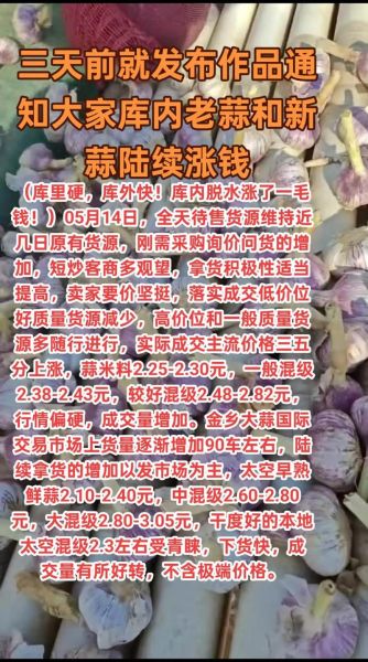 今日大蒜价格多少钱一斤_2024年大蒜行情还会涨吗-第3张图片-山城妙识 今日大蒜价格多少钱一斤_2024年大蒜行情还会涨吗-第3张图片-山城妙识