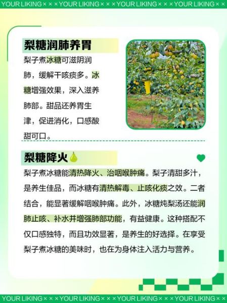 梨炖冰糖的功效与作用_孕妇能吃吗-第2张图片-山城妙识 梨炖冰糖的功效与作用_孕妇能吃吗-第2张图片-山城妙识