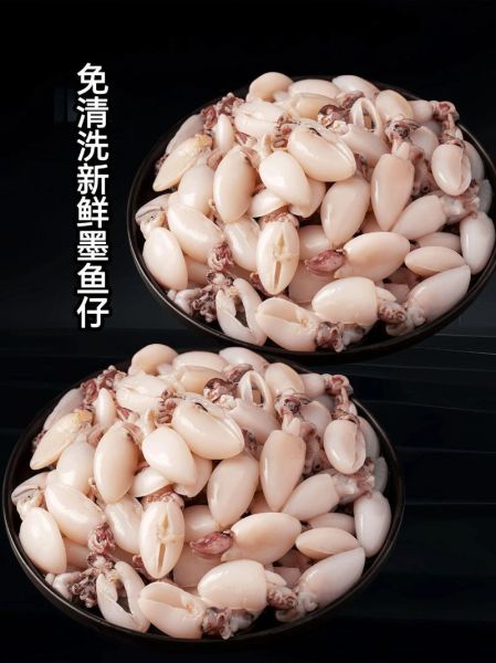 墨鱼和墨鱼仔哪个营养价值高_墨鱼仔和墨鱼营养差异-第2张图片-山城妙识 墨鱼和墨鱼仔哪个营养价值高_墨鱼仔和墨鱼营养差异-第2张图片-山城妙识