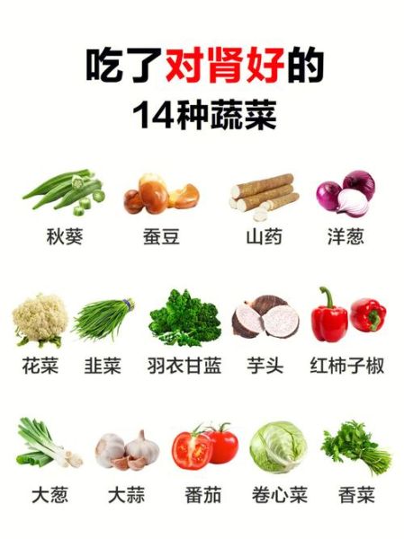补肾蔬菜有哪些_补肾蔬菜排行榜10强-第2张图片-山城妙识
